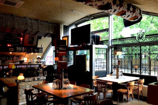 The Pub - Möpse trinken Bier | BERLIN ICK LIEBE DIR